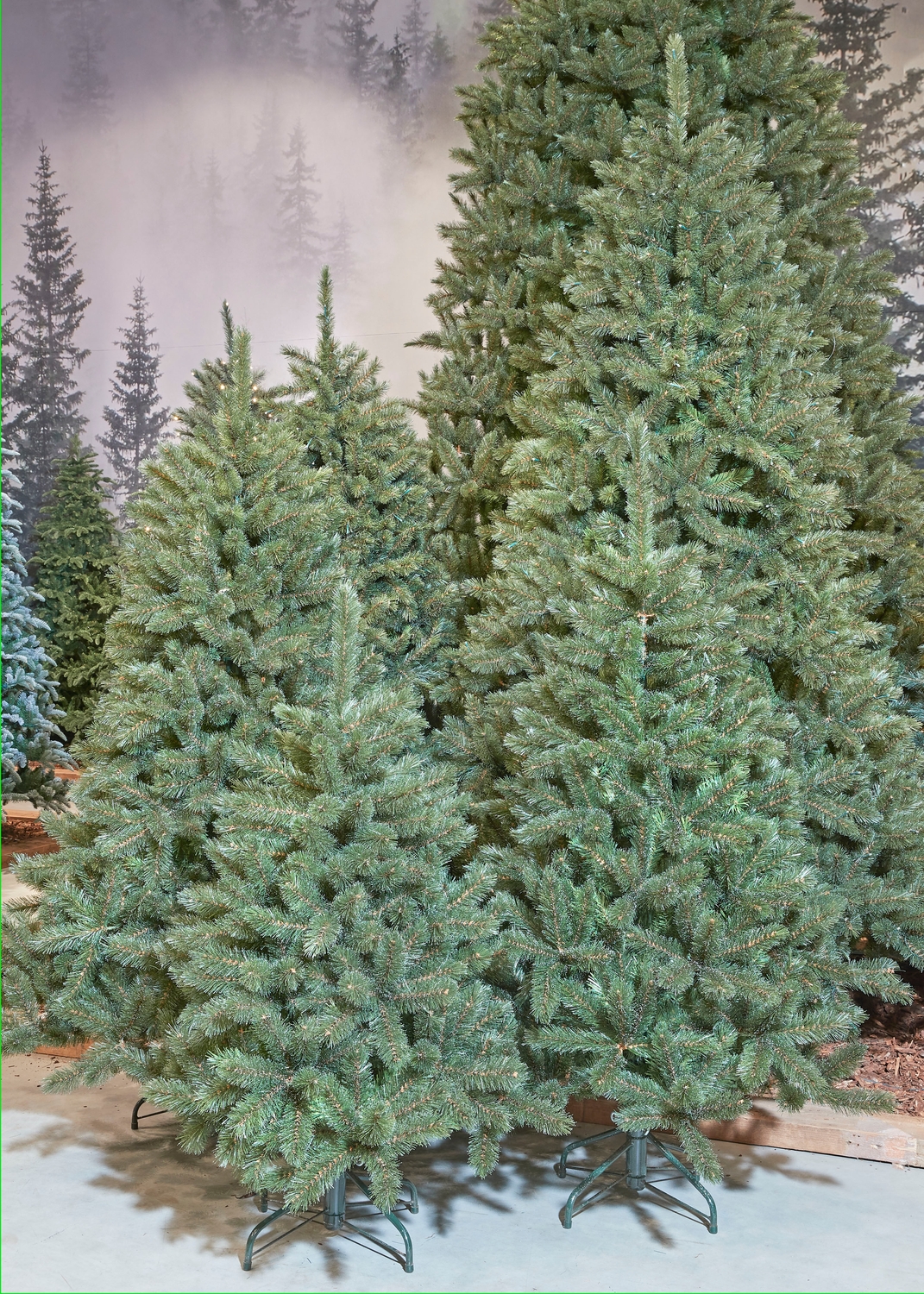 Triumph Tree Forest Frosted Pine Green 155 | iGarden